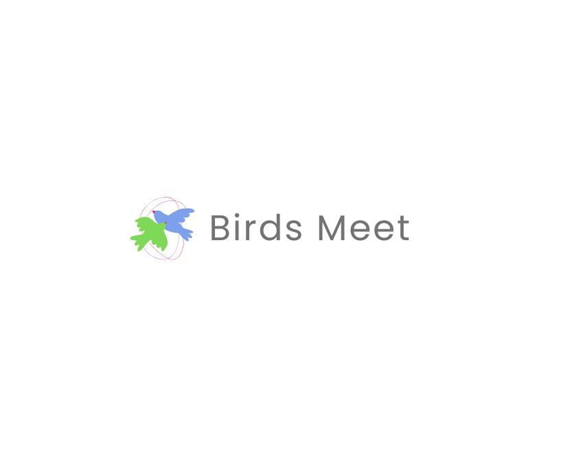 Presse & Médias - Birds Meet